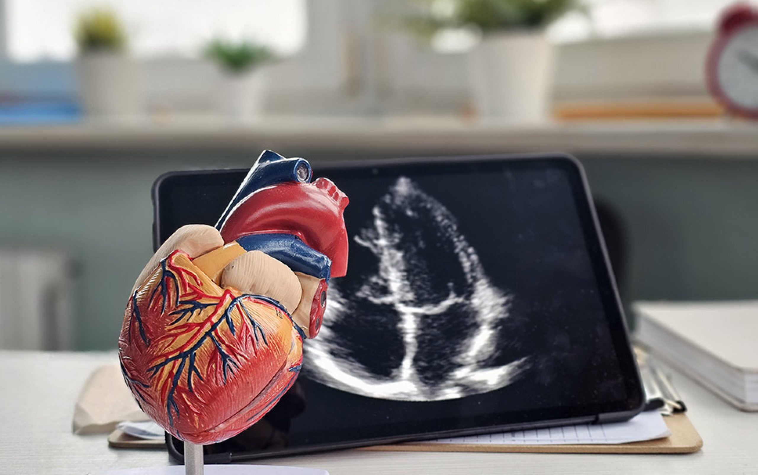 Echocardiography vs. CMR for Quantitating Aortic… | Clinician.com