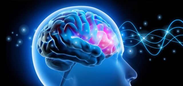 Epilepsy in Frontotemporal Dementia | Clinician.com