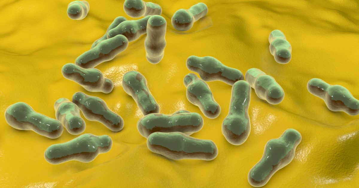 Examining Fecal Microbiota Transplant for Primary C.… | Clinician.com