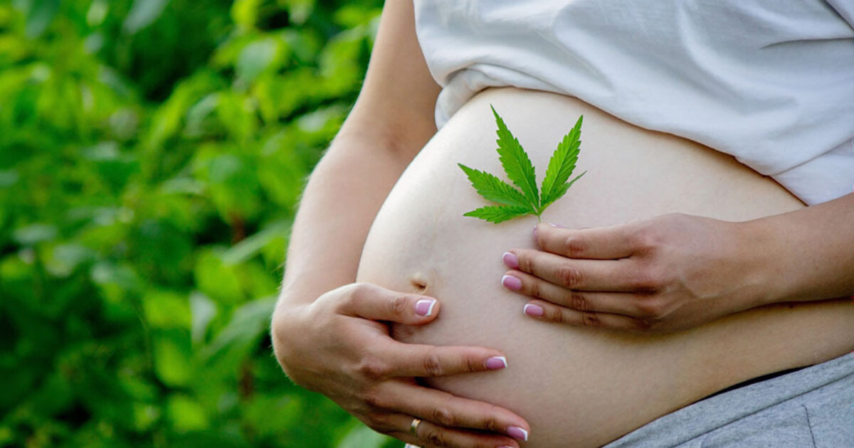 Is Cannabis Abuse During Pregnancy Associated with… | Clinician.com