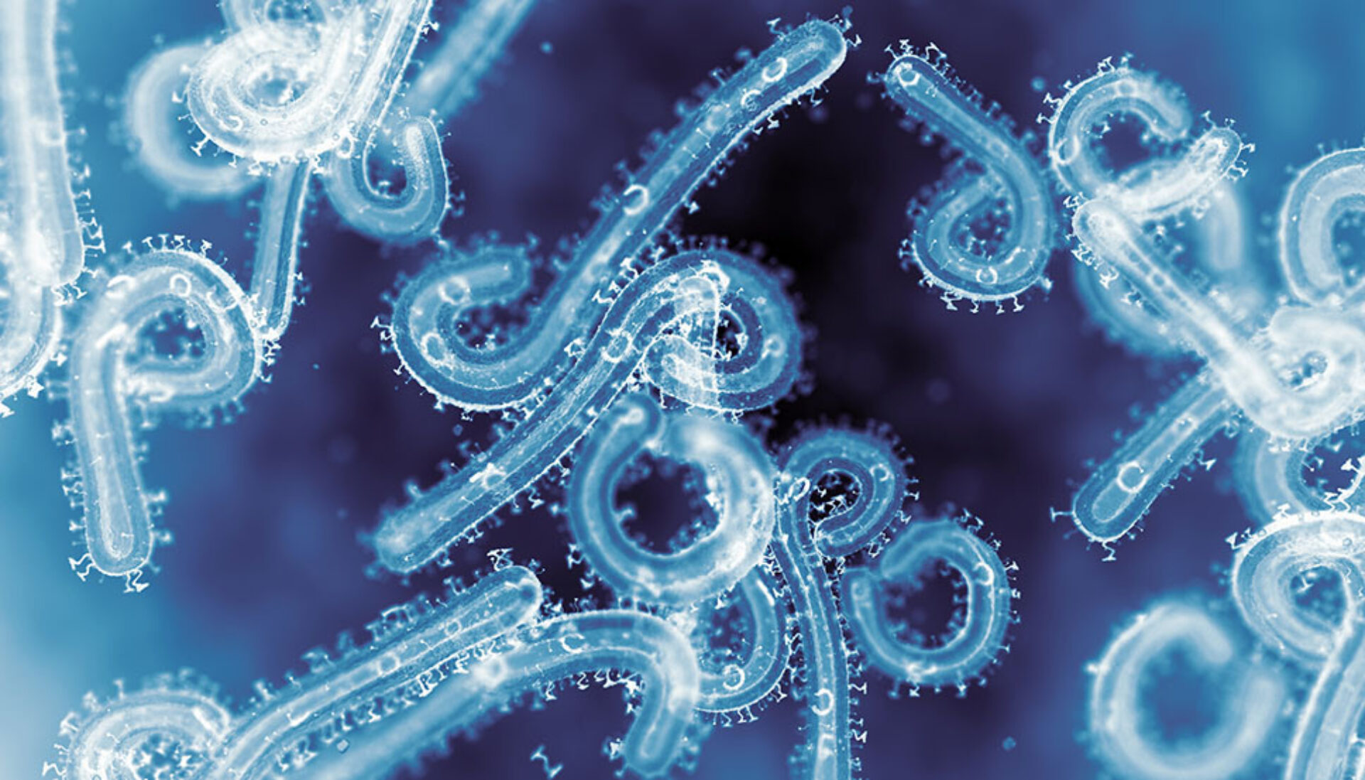 Outbreak of Marburg Virus Disease in Rwanda | Relias Media