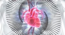 Free Cardiology CME Courses Online | Echo CME | FreeCME.com