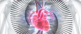 Free Cardiology CME Courses Online | Echo CME | FreeCME.com