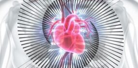 Free Cardiology CME Courses Online | Echo CME | FreeCME.com